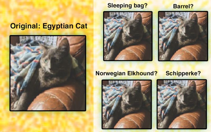 Neuroscientists Find A Way To Make Object Recognition Models Perform